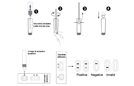 Candida Albicans Vaginal Swab Test Cassette Women's Health Test Kit 97. ...