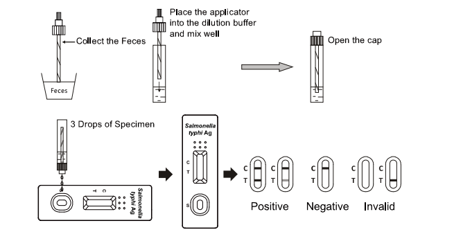 CE Salmonella Typhi Antigen Rapid Test Infectious Disease Test Kit