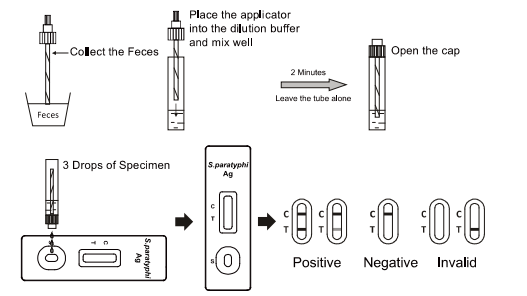5 minutes Salmonella Paratyphi Antigen Rapid Test Cassette vitro diagnostic