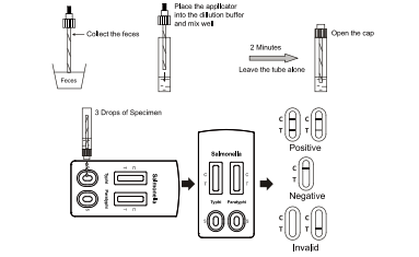 Salmonella Typhi Paratyphi Infectious Disease Test Kit Feces Specimen