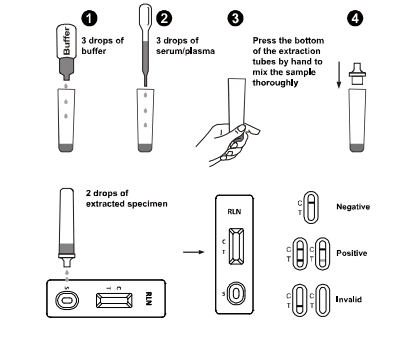 Dog Relaxin RLN Rapid Test Cassette Serum / Plasma Canine Relaxin Early ...