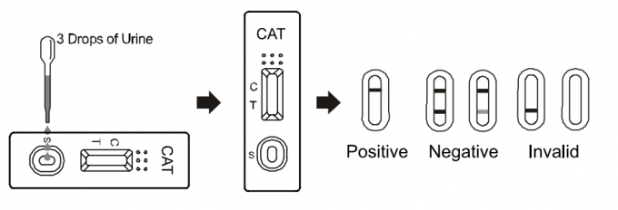 Cathine CAT Rapid Test Cassette Chromatographic Immunoassay 150ng/Ml