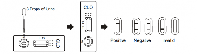 Clonazepam Rapid Test Cassette CLO Detection 400ng/Ml Cut Off
