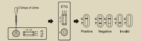 Ethyl Glucuronide ETG Rapid Test Cassette Ethyl Alcohol 500ng/ML Cut Off