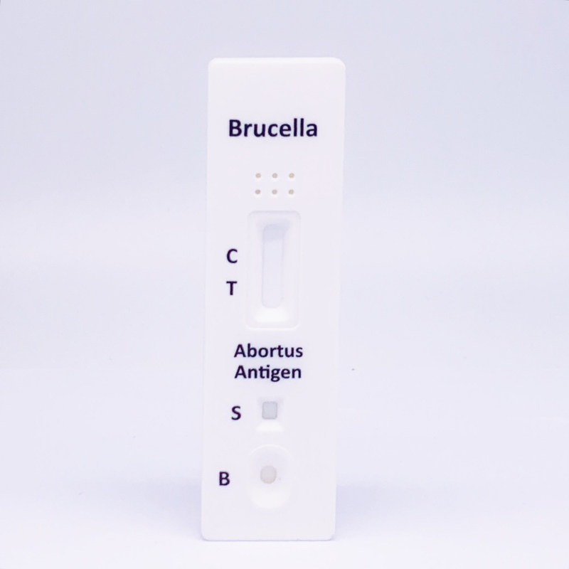 97.0 % Accuracy 10 Minutes Bovine Brucella Antigen Test Qualitative ...